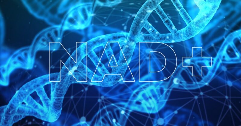 NAD+: What is it and why is it important?